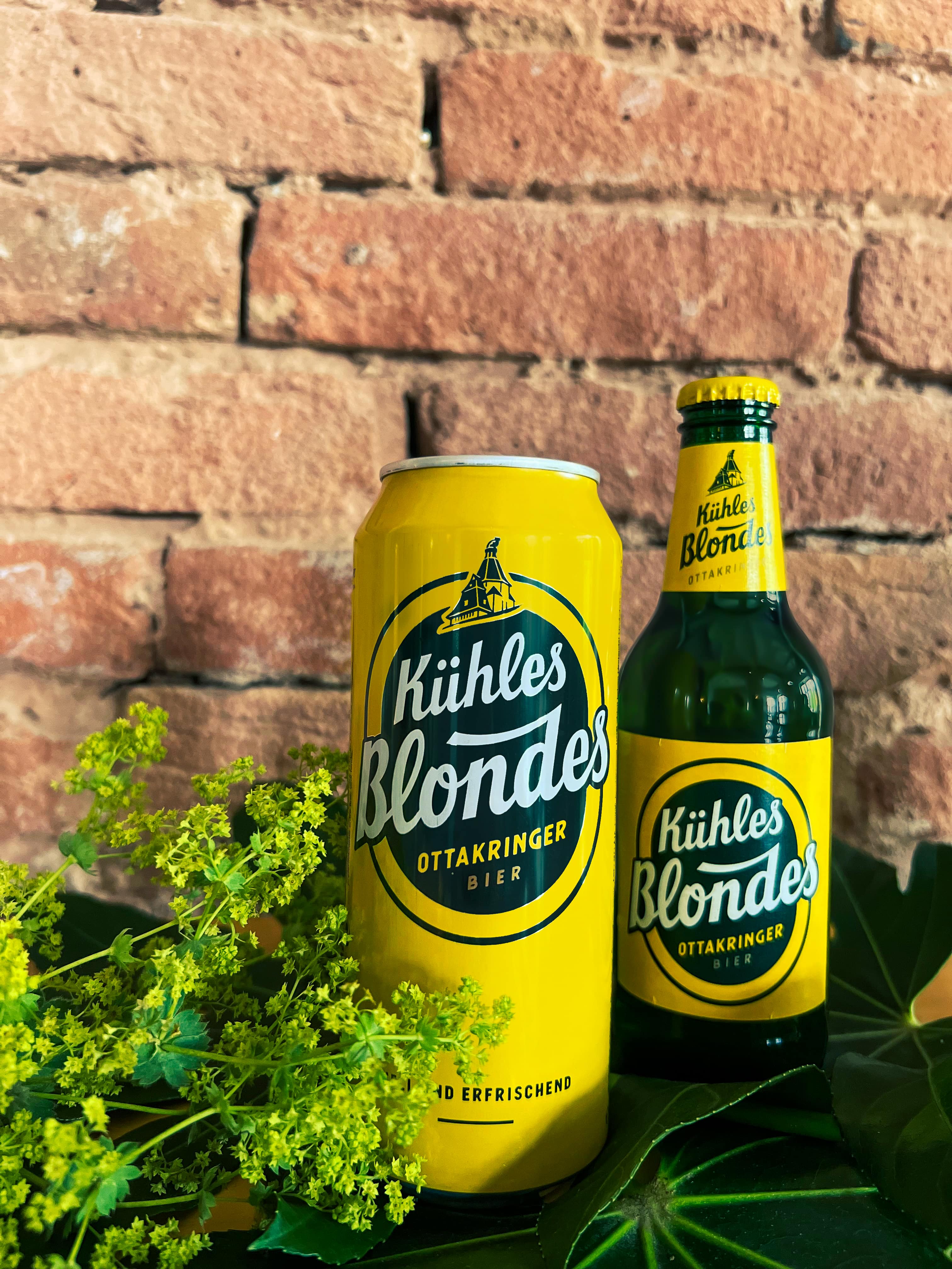 Tauche ein in die erfrischende Welt von Kühles Blondes